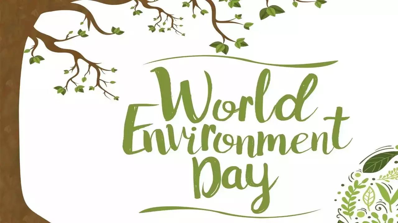 World Environment Day TS ranks first in environment protection: CSE ...