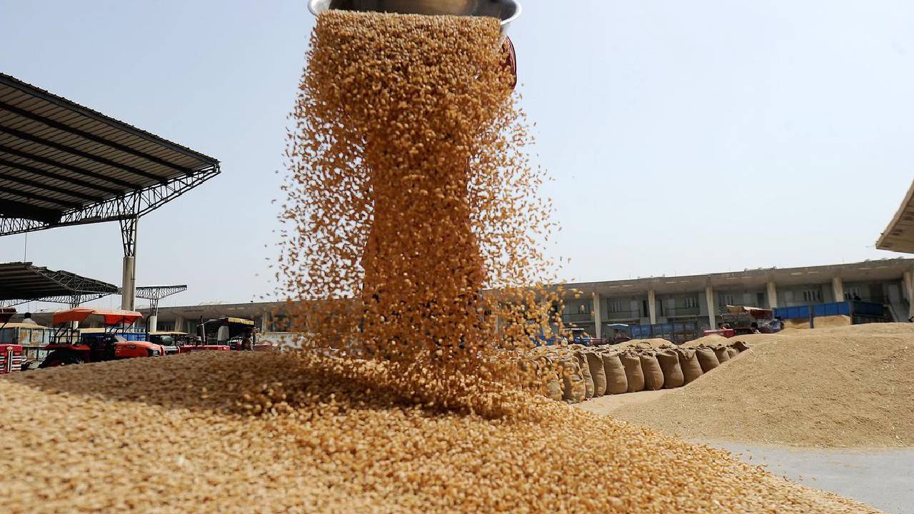Centre to release wheat & rice in open market through new scheme | The ...