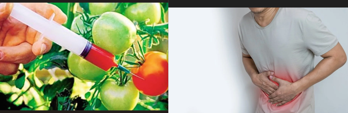 Adulterated Food: sneaky side of food industry | The Pioneer